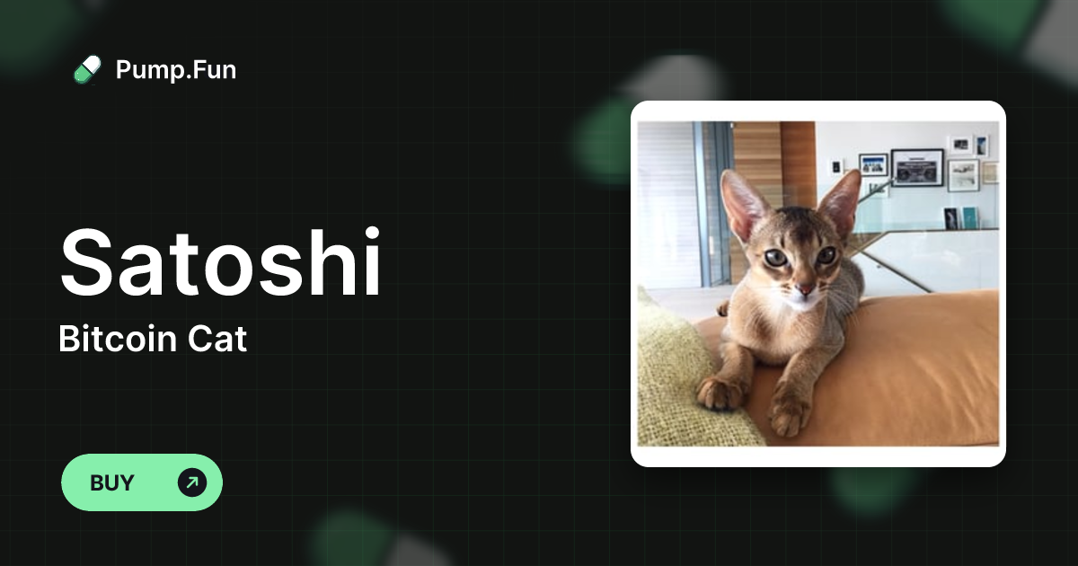 Bitcoin Cat (Satoshi) - Pump