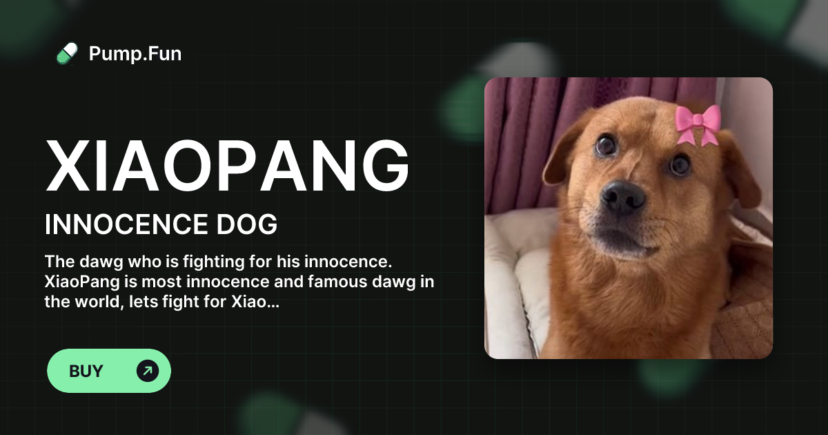 INNOCENCE DOG (XIAOPANG) - Pump