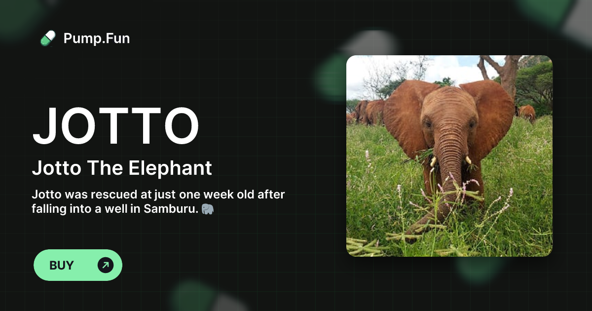 Jotto The Elephant (JOTTO) - Pump