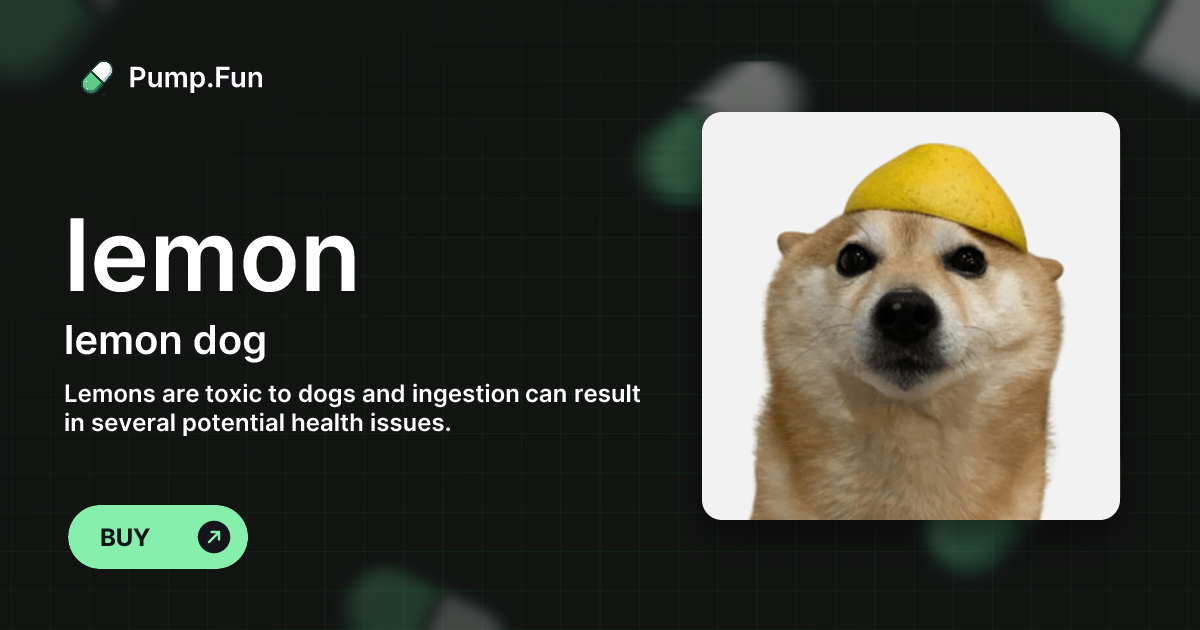 lemon dog (lemon) - Pump