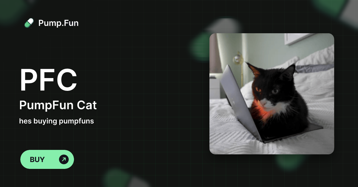 PumpFun Cat (PFC) - Pump