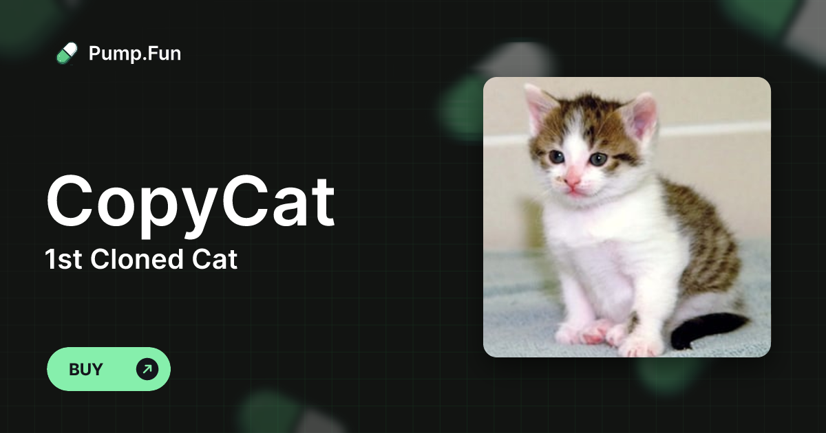 1st Cloned Cat (CopyCat) - Pump
