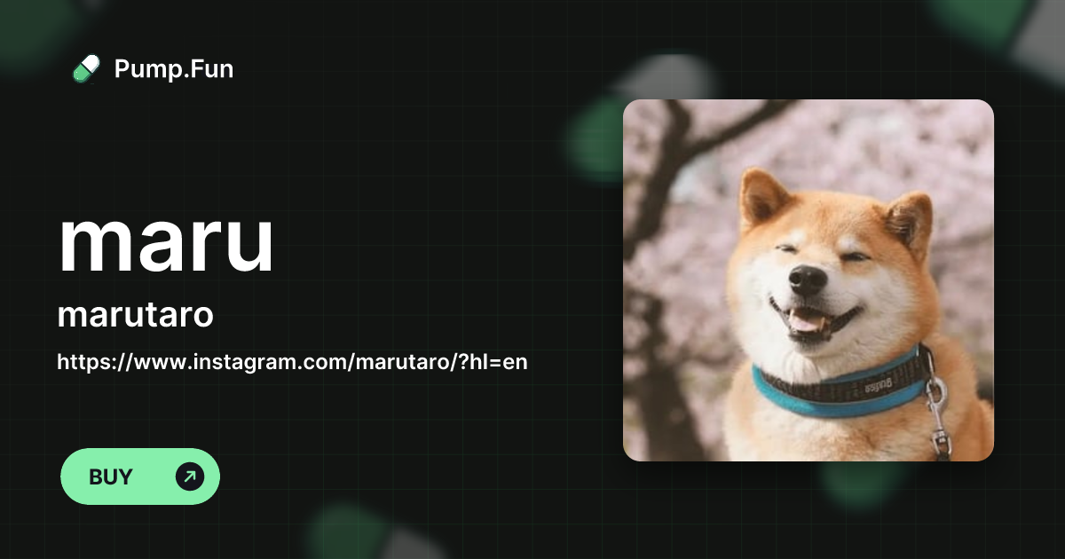marutaro (maru) - Pump