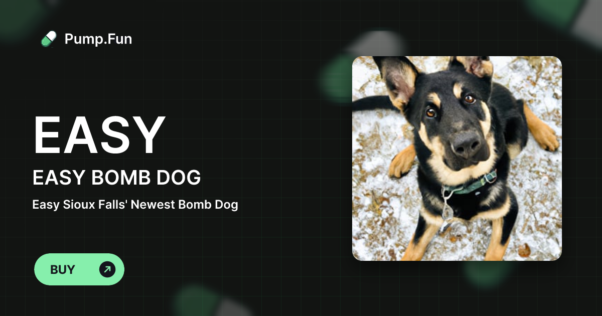 EASY BOMB DOG (EASY) - Pump