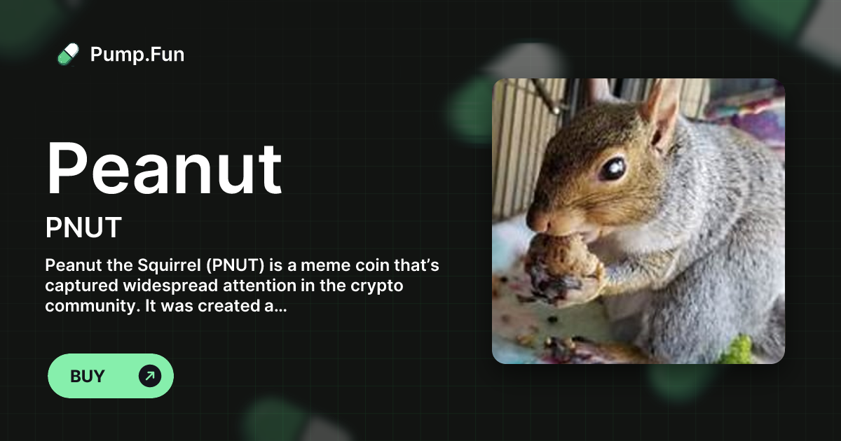 PNUT (Peanut ) - Pump