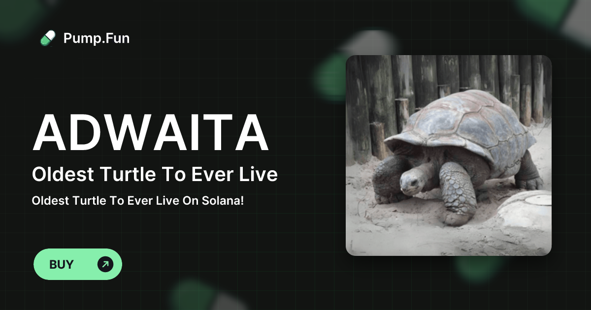 Oldest Turtle To Ever Live (ADWAITA) - Pump