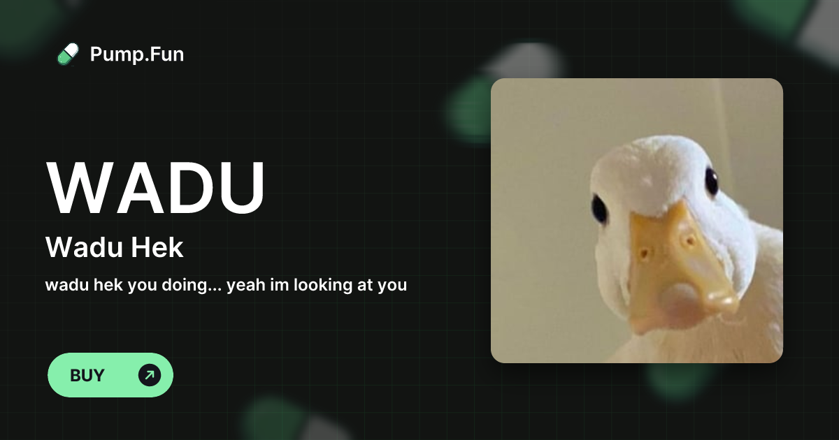 Wadu Hek (WADU) - Pump