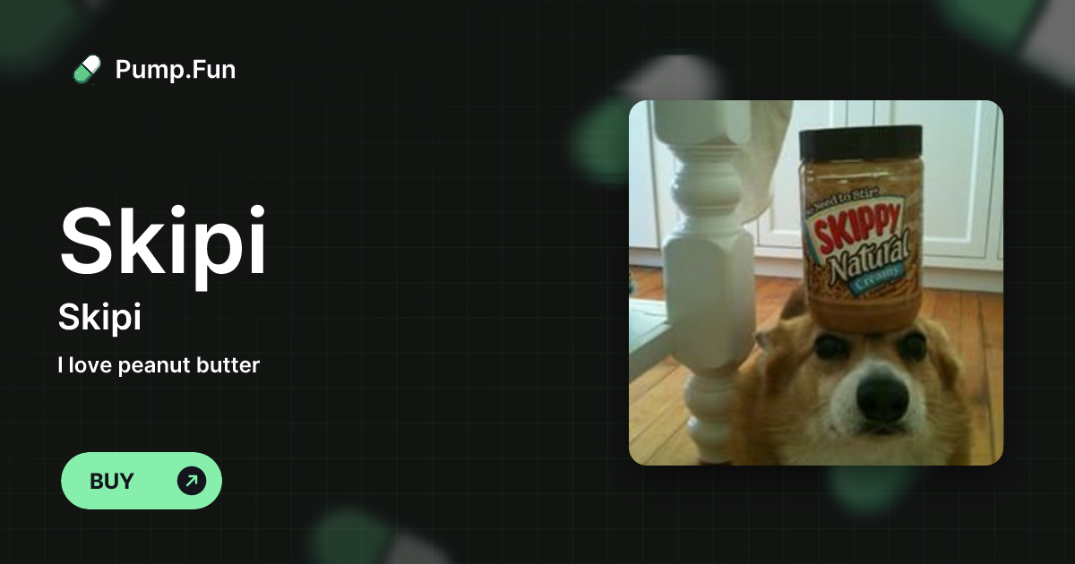 Skipi (Skipi) - Pump