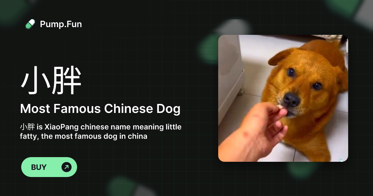 Most Famous Chinese Dog (小胖) - Pump