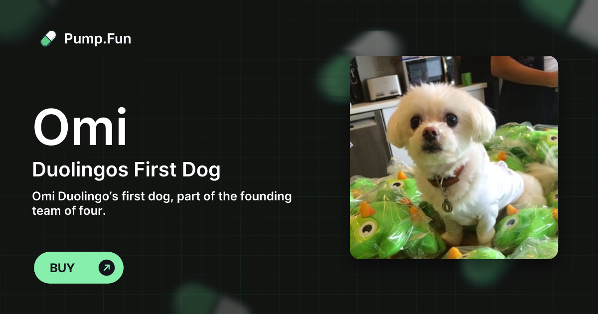 Duolingos First Dog (Omi) - Pump