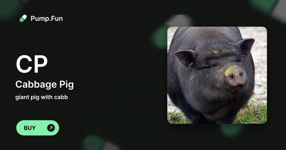 Cabbage Pig (CP) - Pump