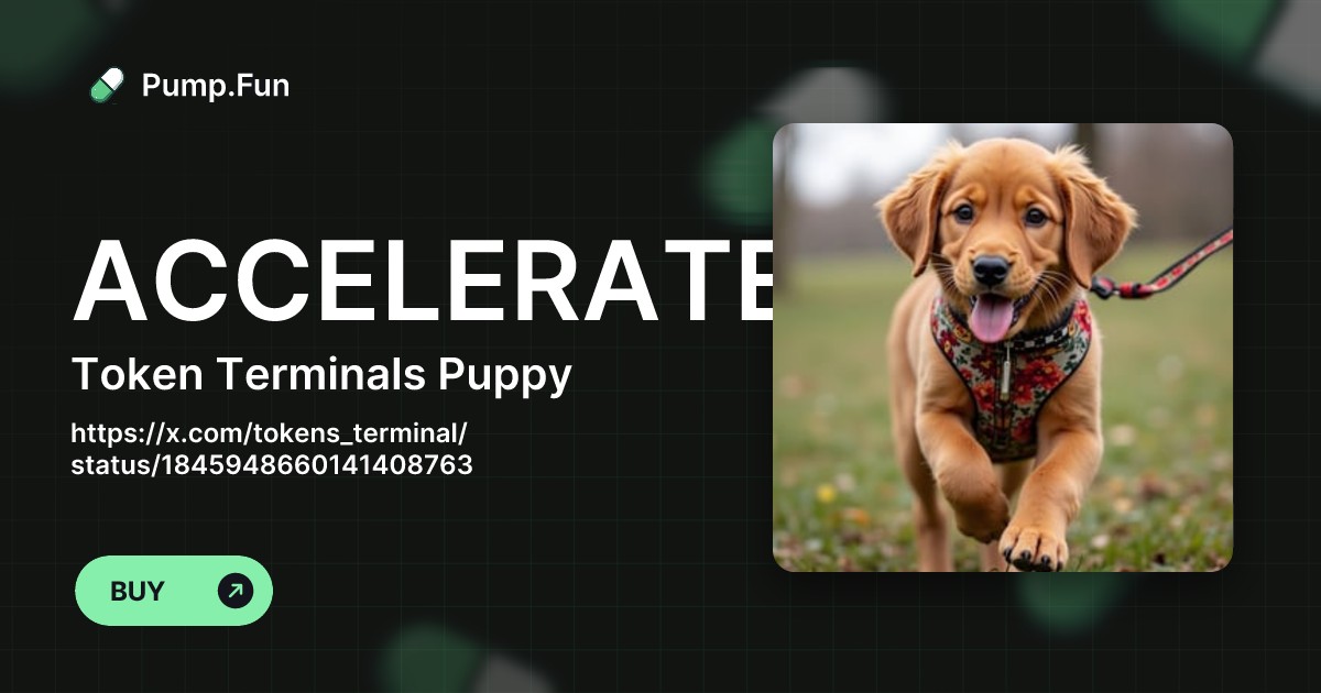 Token Terminals Puppy (ACCELERATE) - Pump