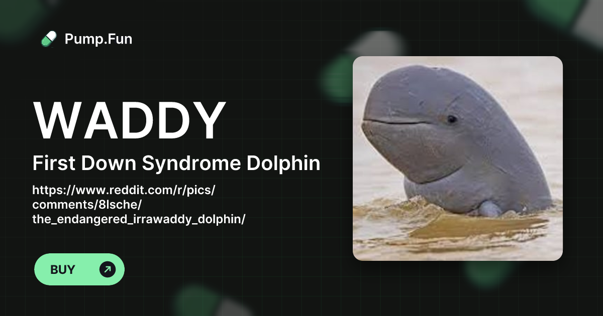 First Down Syndrome Dolphin (WADDY) - Pump
