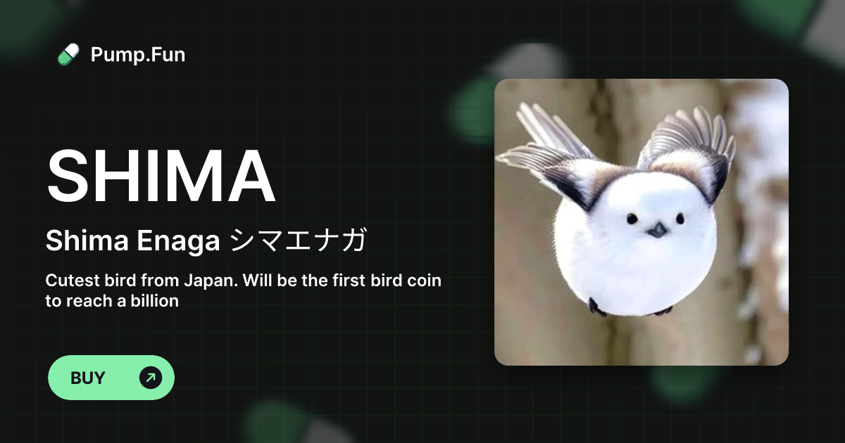 Shima Enaga シマエナガ (SHIMA) - Pump