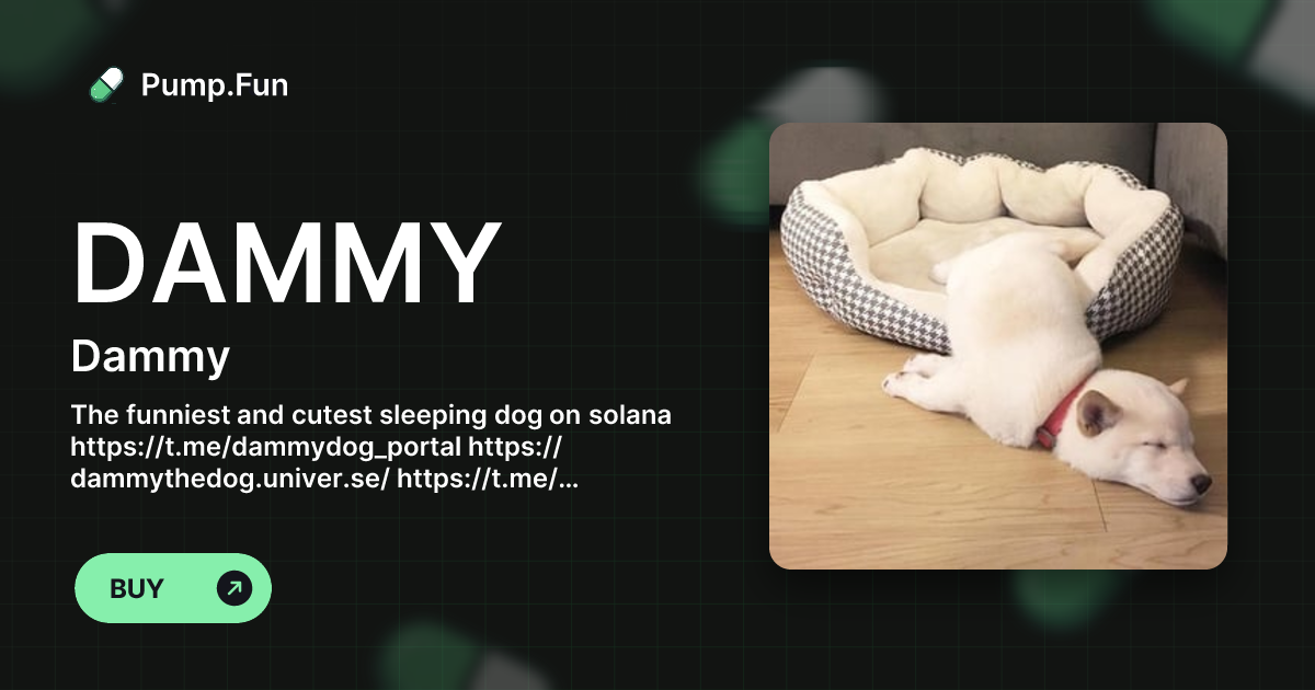 Dammy (DAMMY) - Pump