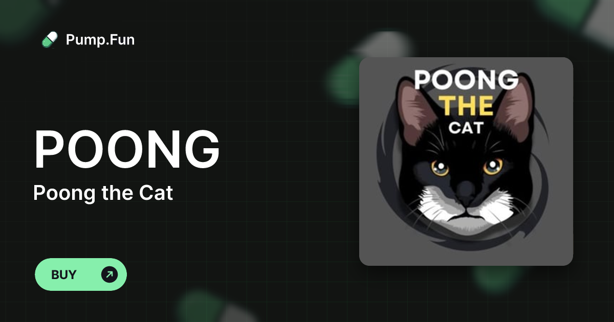 Poong the Cat (POONG) - Pump
