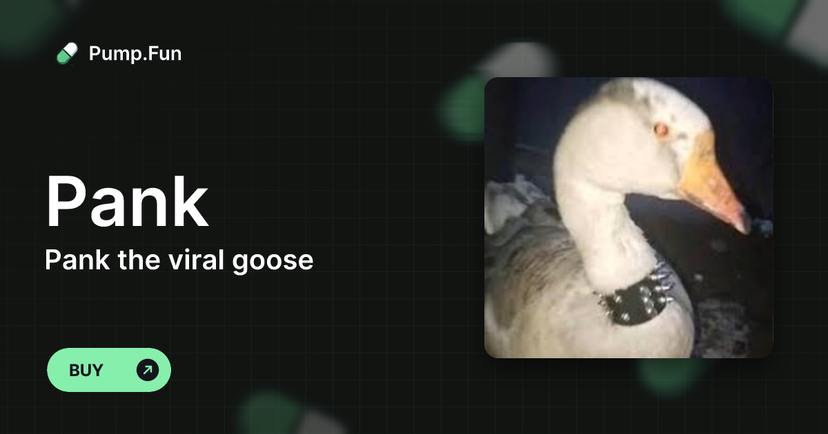 Pank the viral goose (Pank) - Pump