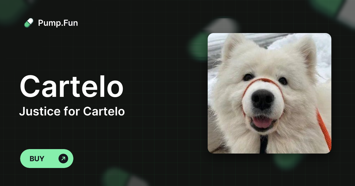 Justice for Cartelo (Cartelo) - Pump
