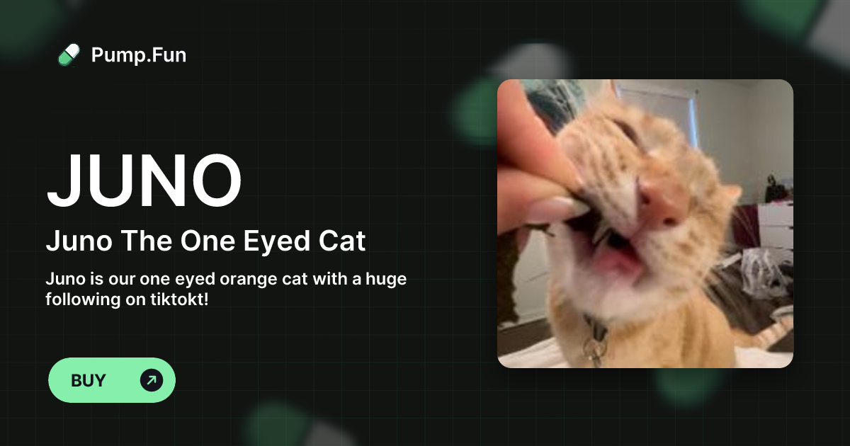 Juno The One Eyed Cat (JUNO) - Pump