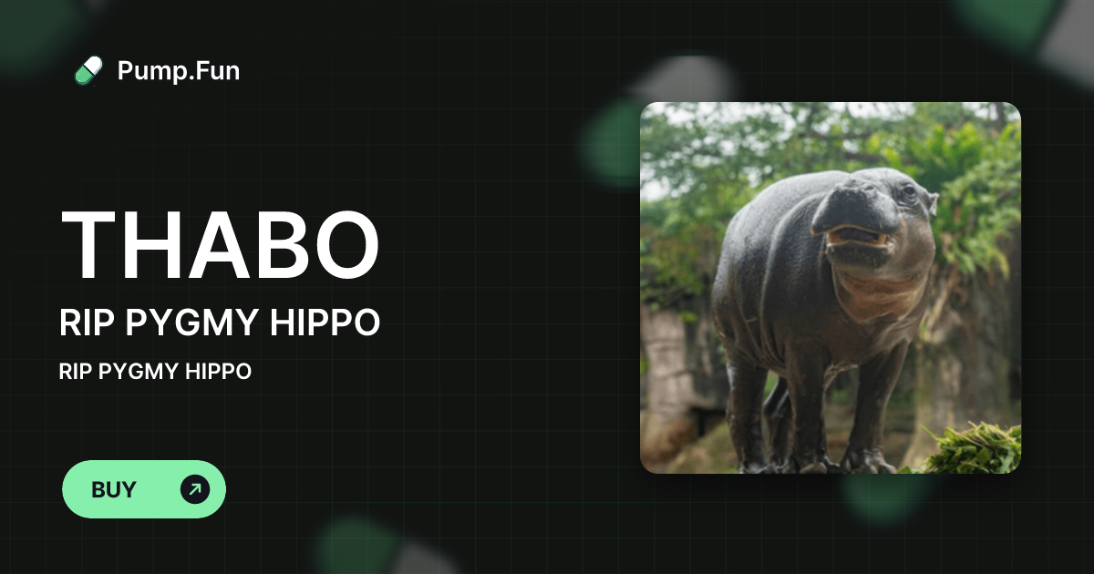 RIP PYGMY HIPPO (THABO) - Pump