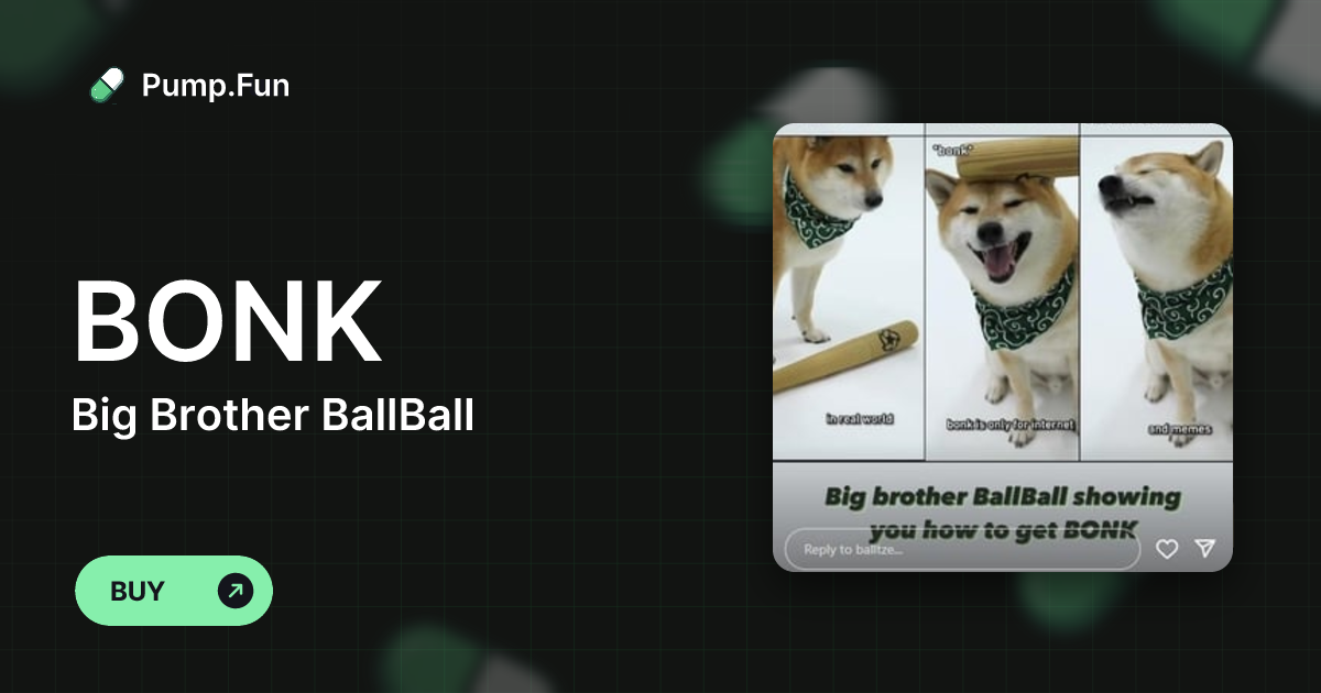 Big Brother BallBall (BONK) - Pump