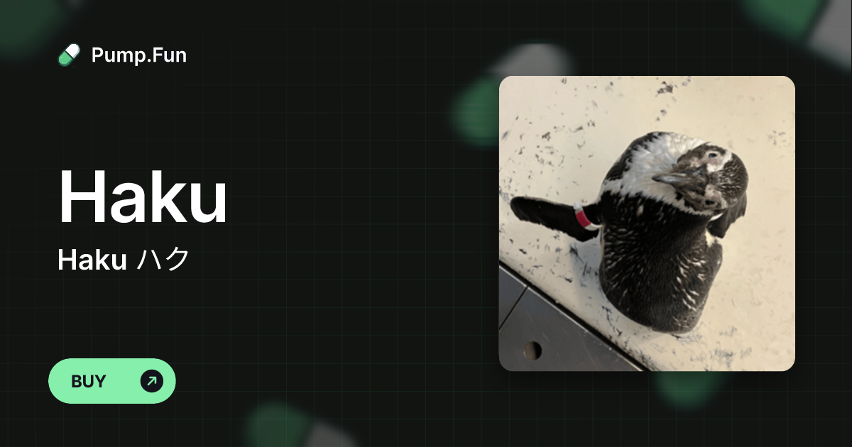 Haku ハク (Haku) - Pump