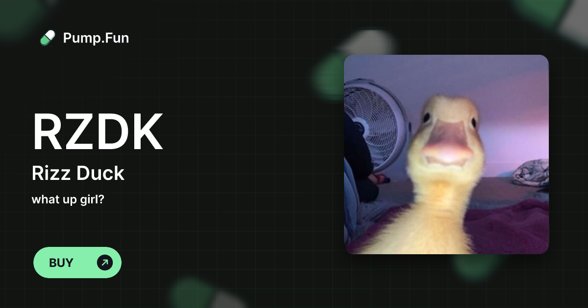 Rizz Duck (RZDK) - Pump