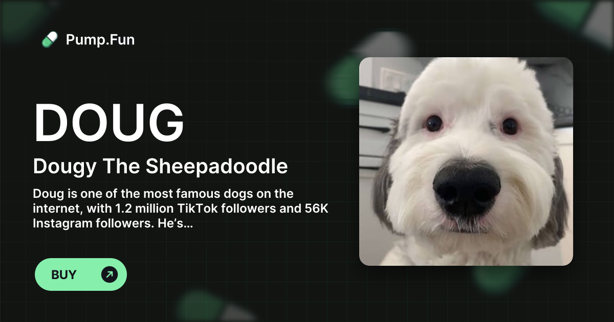 Dougy The Sheepadoodle (DOUG) - Pump