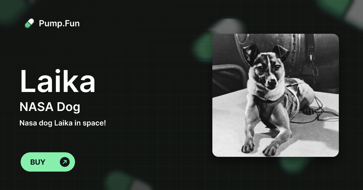 NASA Dog (Laika) - Pump