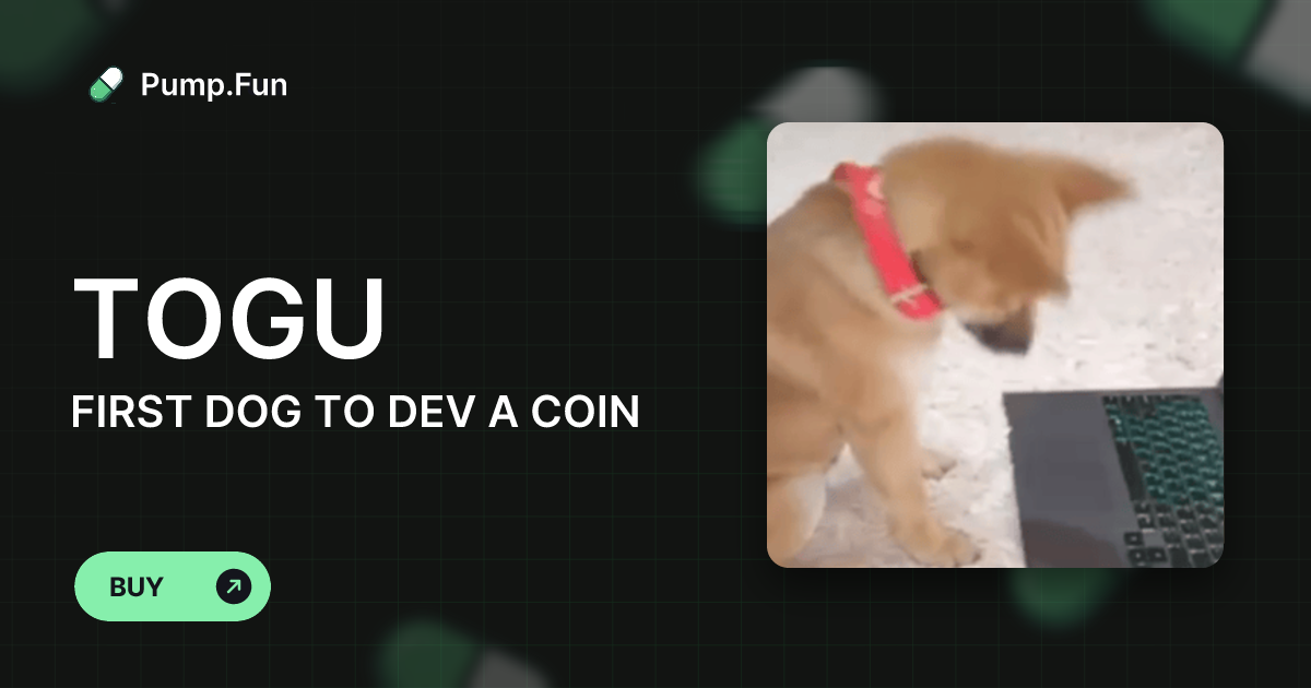 FIRST DOG TO DEV A COIN (TOGU) - Pump