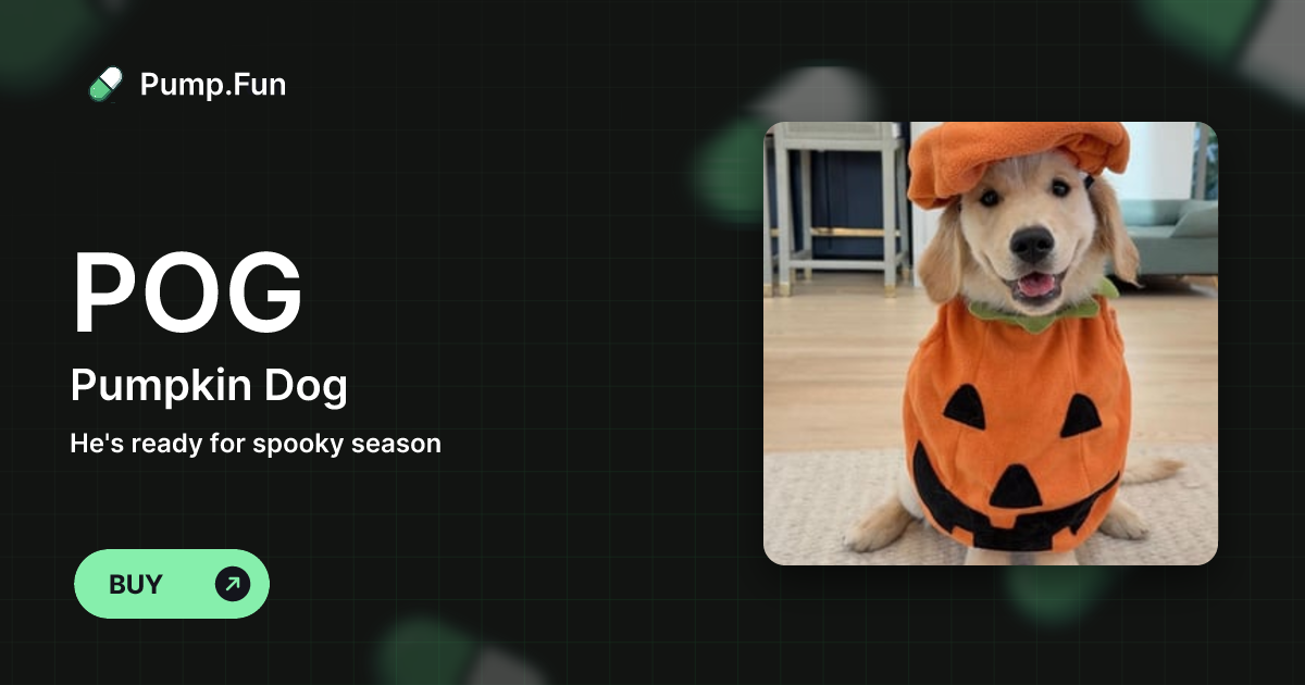 Pumpkin Dog (POG) - Pump