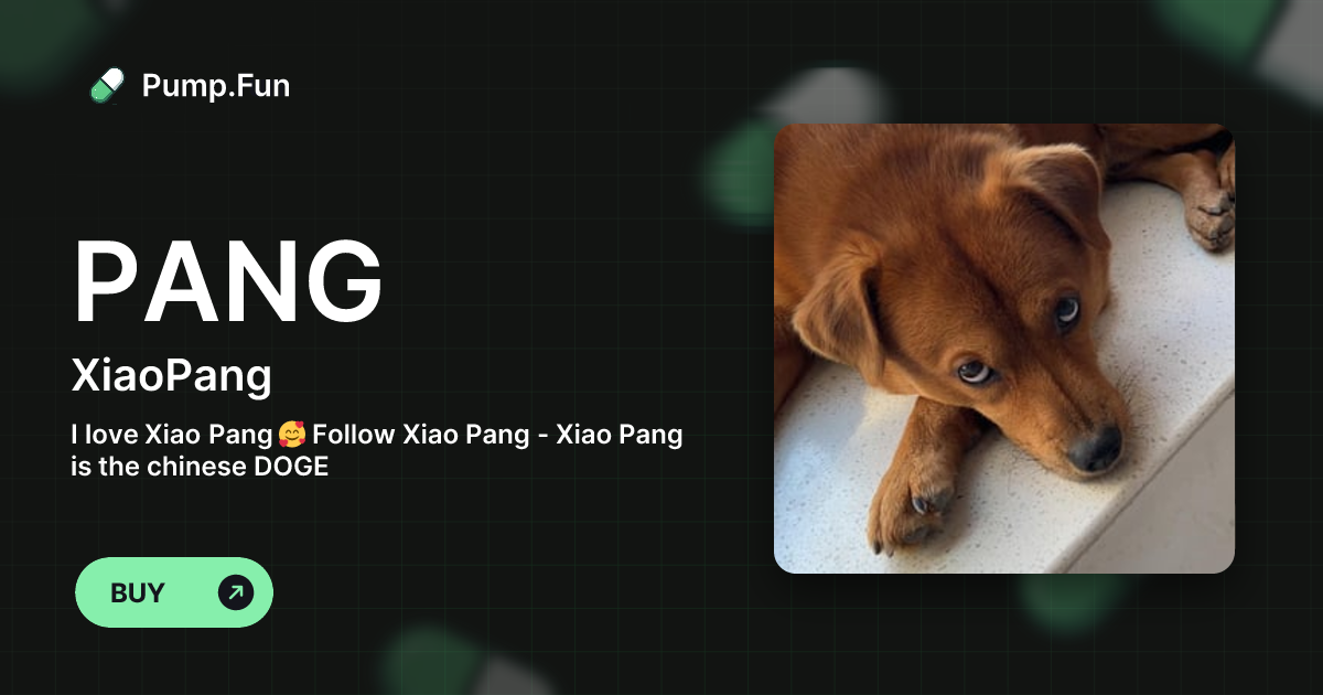 XiaoPang (PANG) - Pump