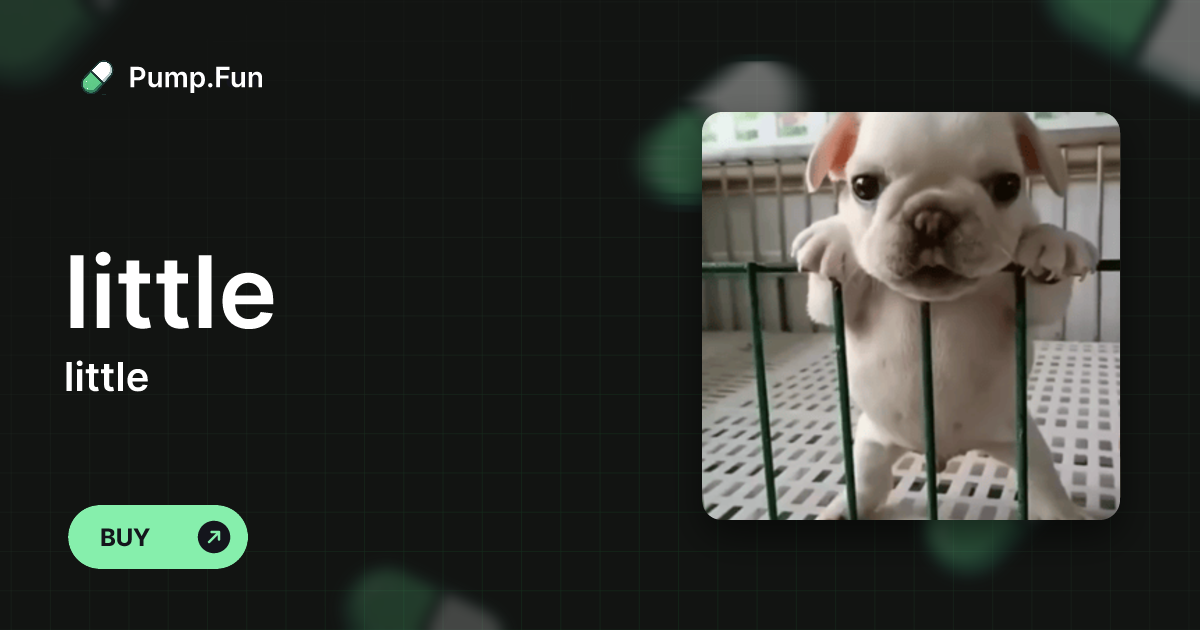 little (little) - Pump