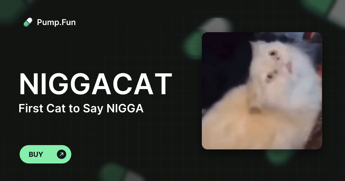 First Cat to Say NIGGA (NIGGACAT) - Pump