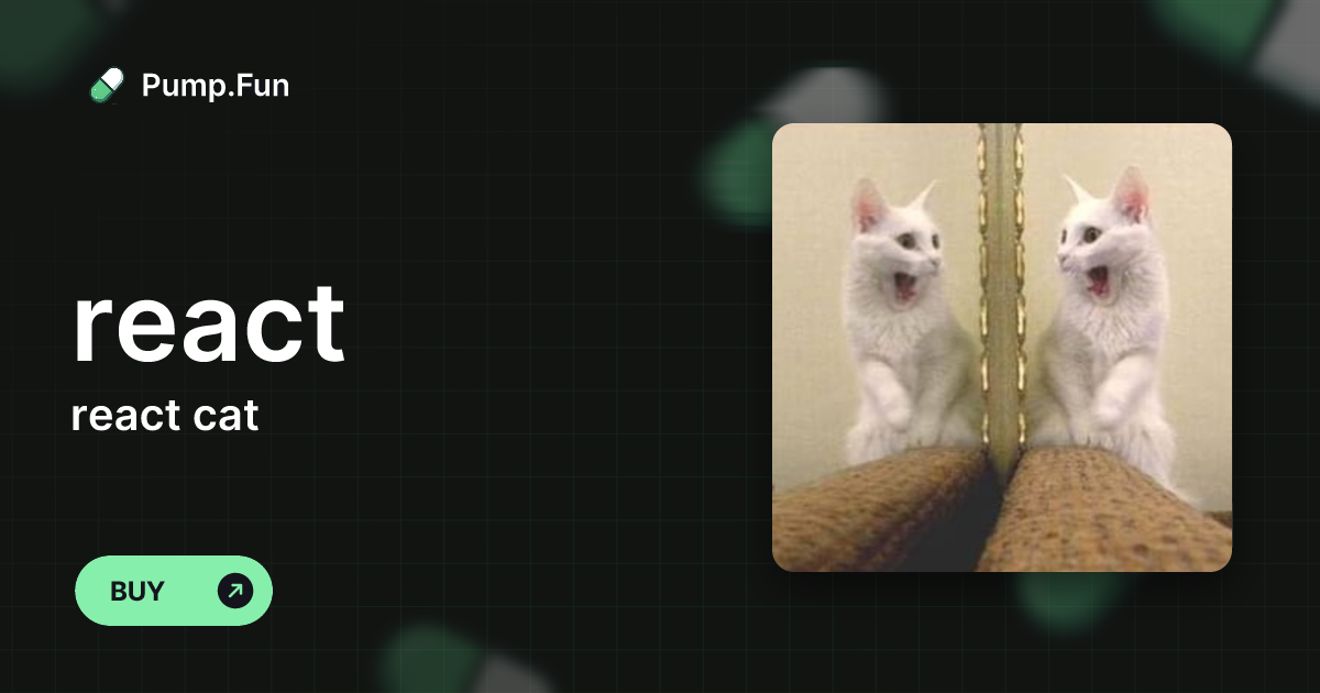 react cat (react) - Pump