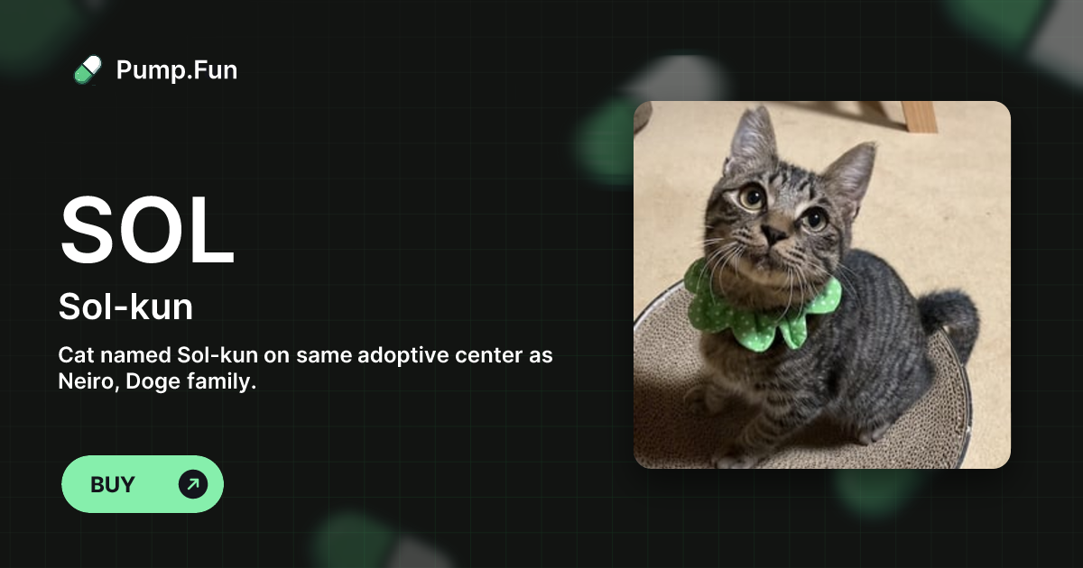 Sol-kun (SOL) - Pump