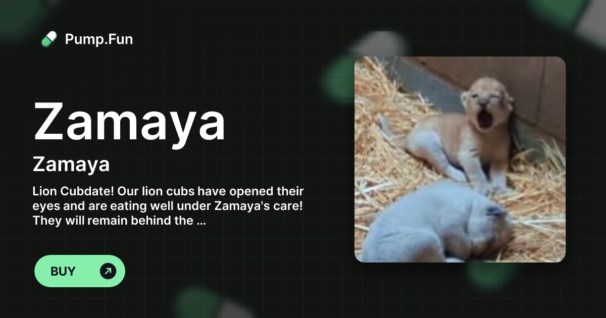 Zamaya (Zamaya) - Pump