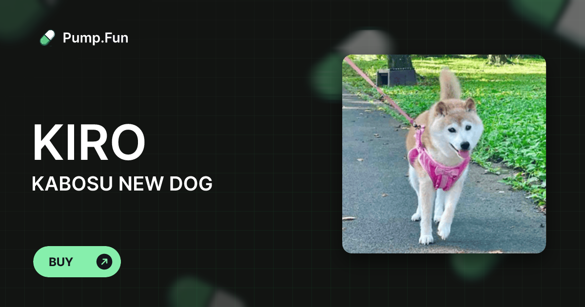 KABOSU NEW DOG (KIRO) - Pump