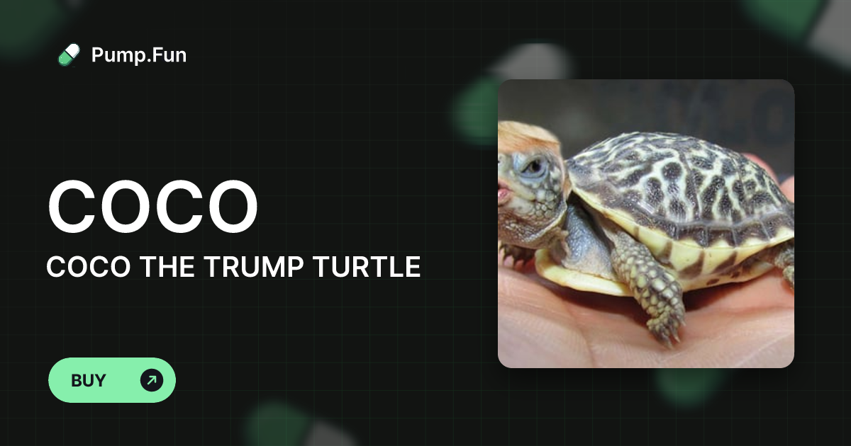 COCO THE TRUMP TURTLE (COCO) - Pump