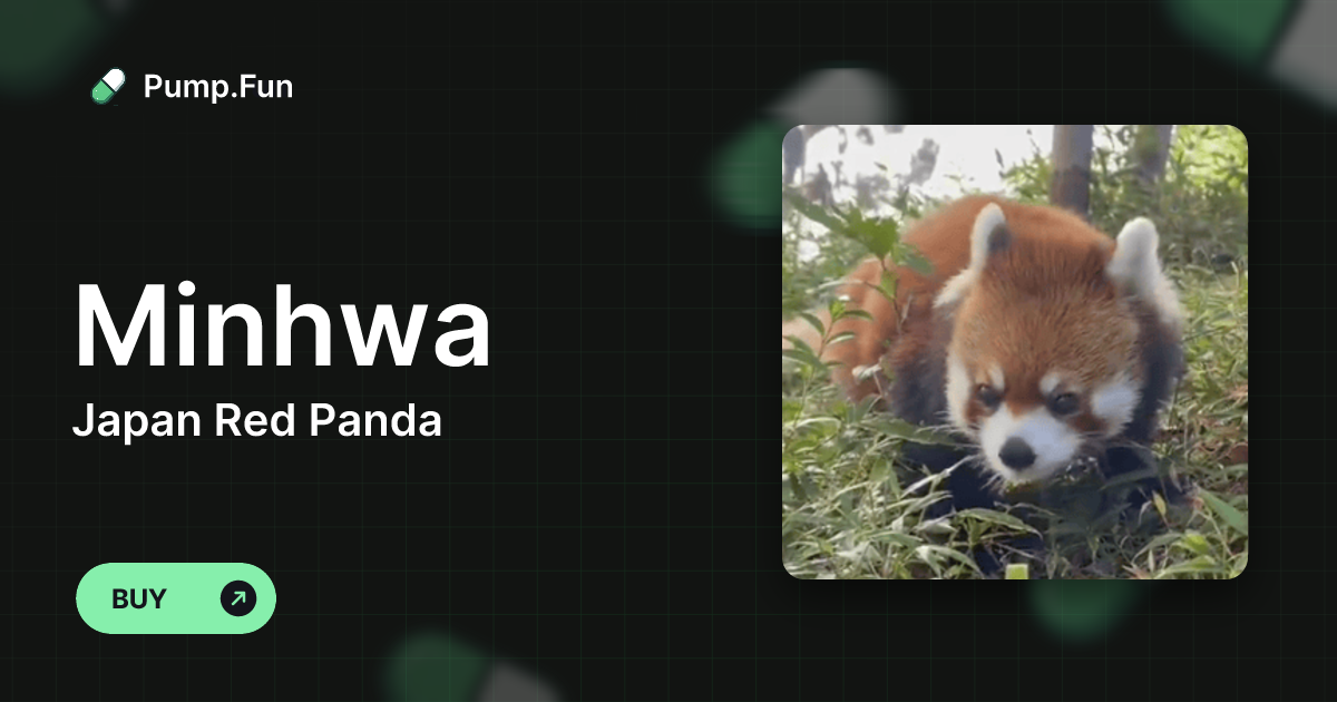 Japan Red Panda (Minhwa) - Pump