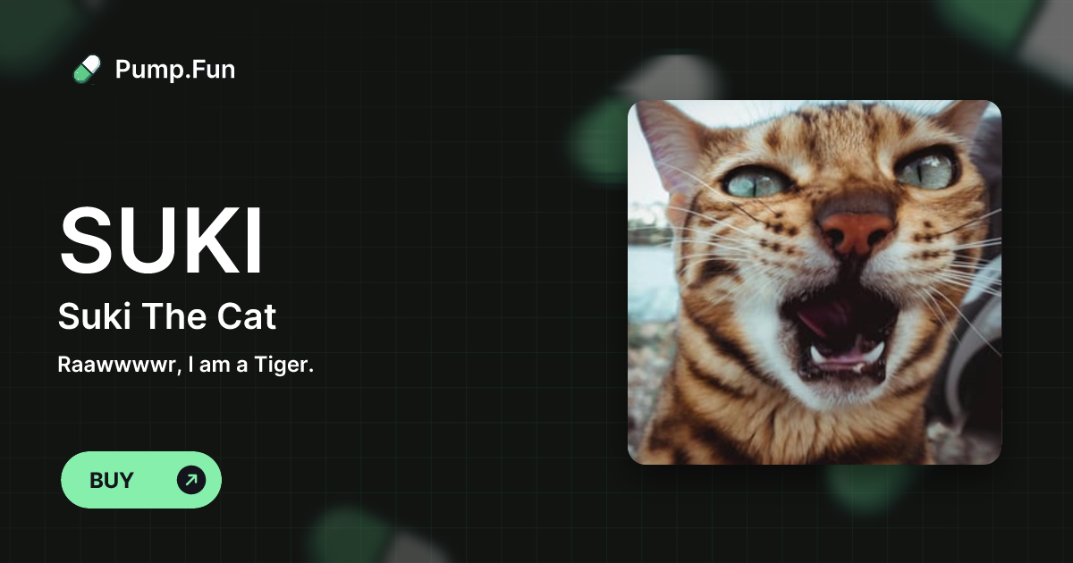 Suki The Cat (SUKI) - Pump