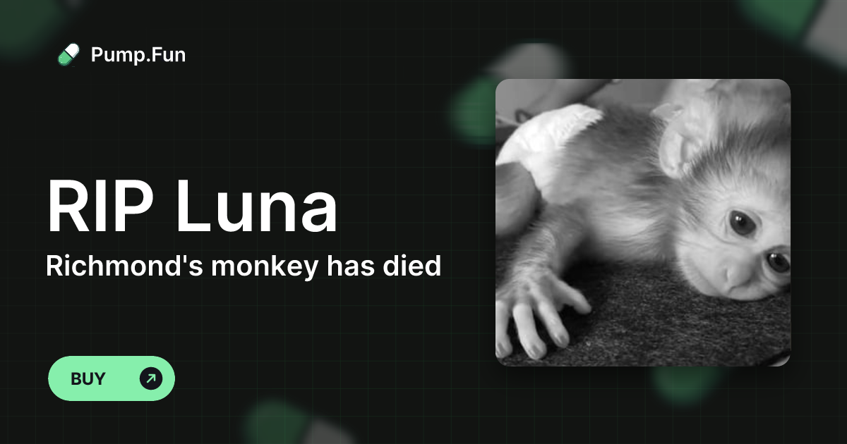 Richmond's monkey has died (RIP Luna) - Pump