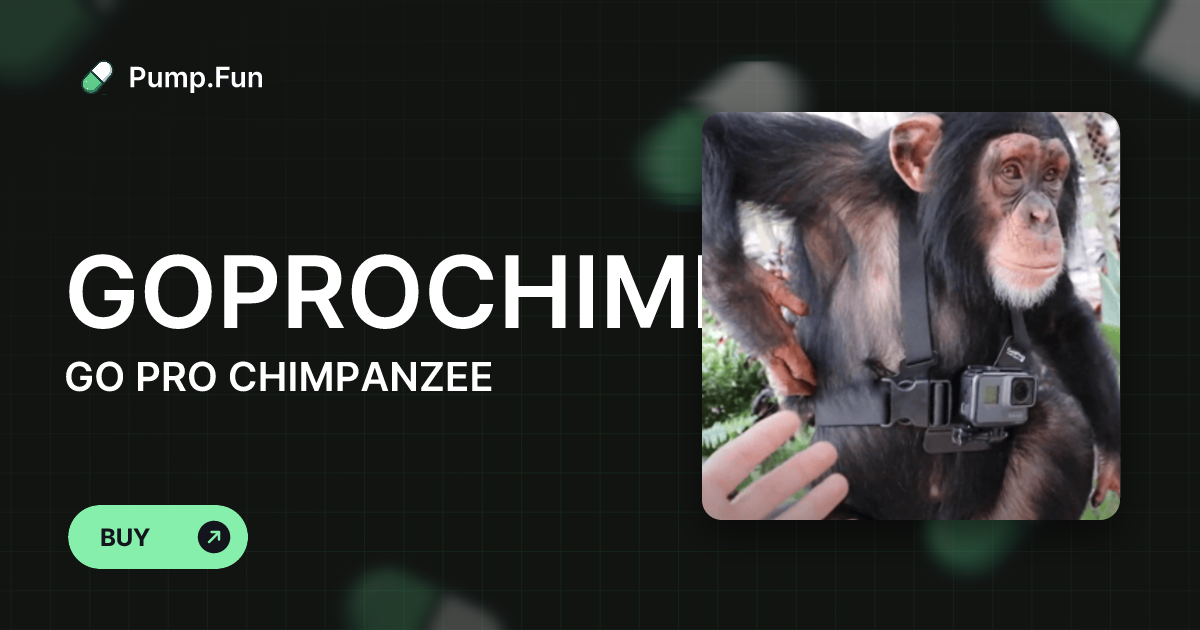 GO PRO CHIMPANZEE (GOPROCHIMP) - Pump