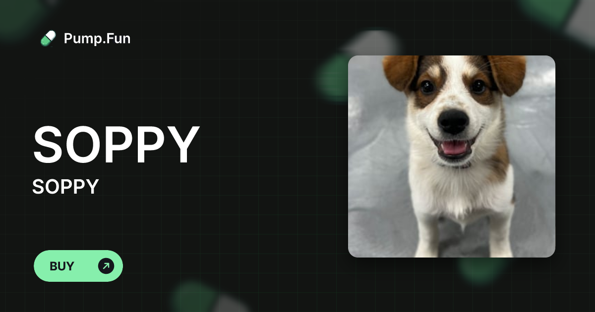 SOPPY (SOPPY) - Pump