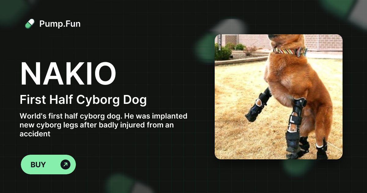 First Half Cyborg Dog (NAKIO) - Pump