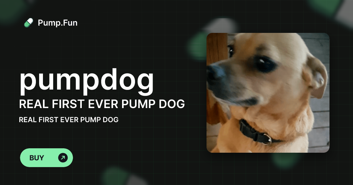 REAL FIRST EVER PUMP DOG (pumpdog) - Pump