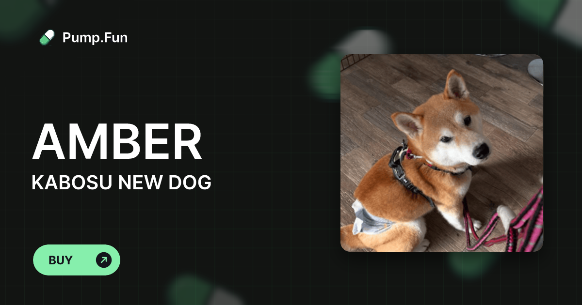 KABOSU NEW DOG (AMBER) - Pump