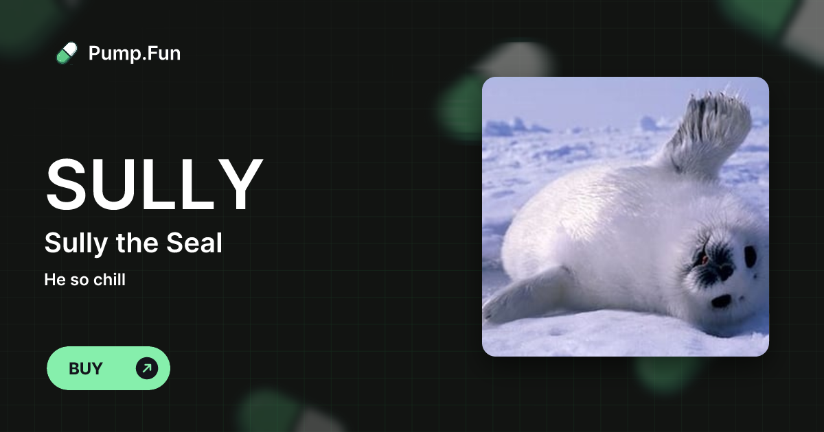 Sully the Seal (SULLY) - Pump