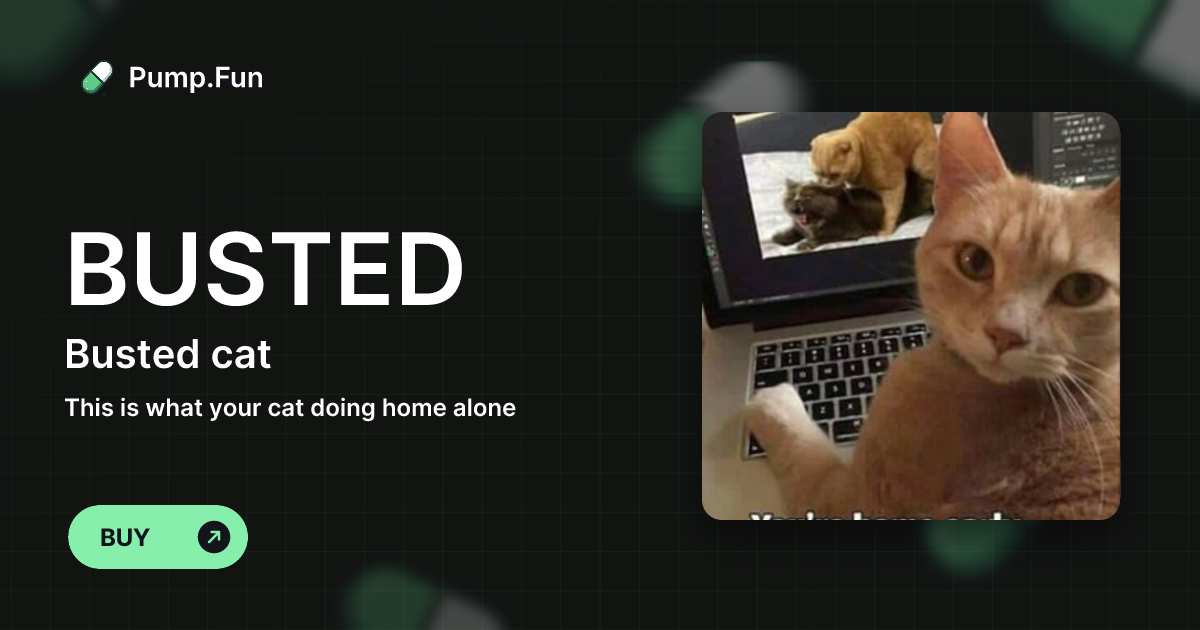 Busted cat (BUSTED ) - Pump