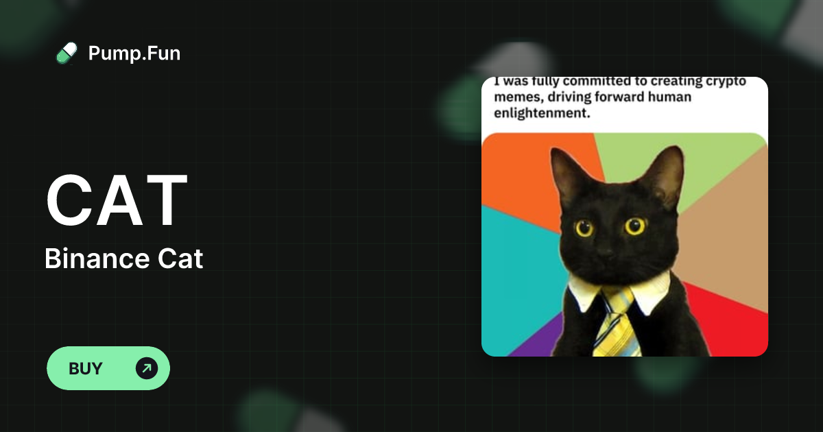 Binance Cat (CAT) - Pump